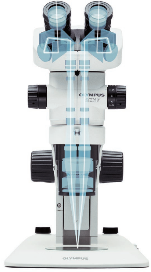 SZX7 (EVIDENT-OLYMPUS) Stereo Microscope - Evident|Microscope