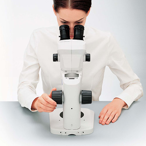 SZ61 (EVIDENT-OLYMPUS) Stereo Microscope - Evident|Microscope