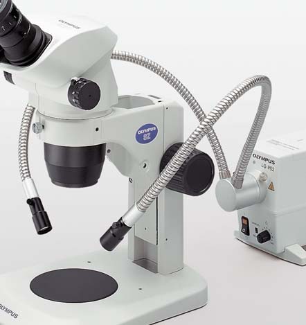 SZ61TR (EVIDENT-OLYMPUS) Stereo Microscope - Evident|Microscope
