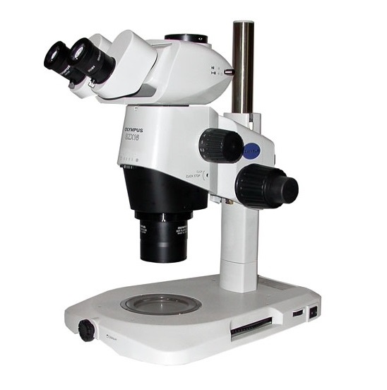 Kính Hiển Vi Soi Nổi - Evident|Microscope