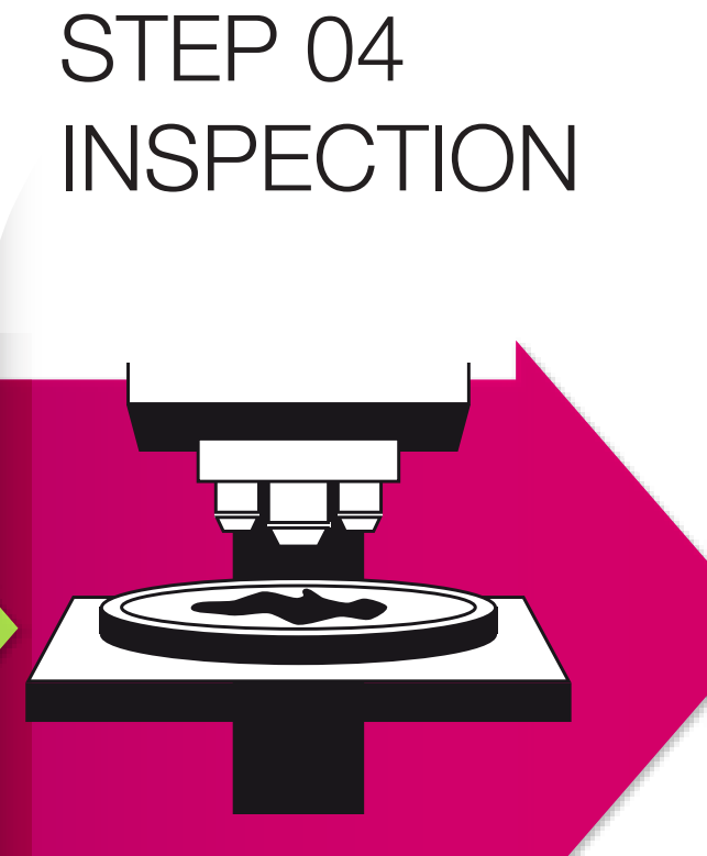 CIX100 (EVIDENT-OLYMPUS) Cleanliness Inspector - Evident|Microscope